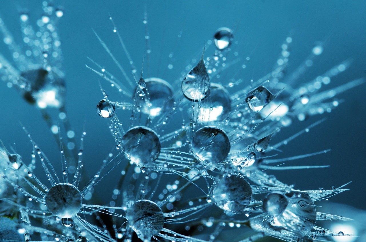 Clarity is the Ultimate Competitive Advantage - Vani Malik Consulting